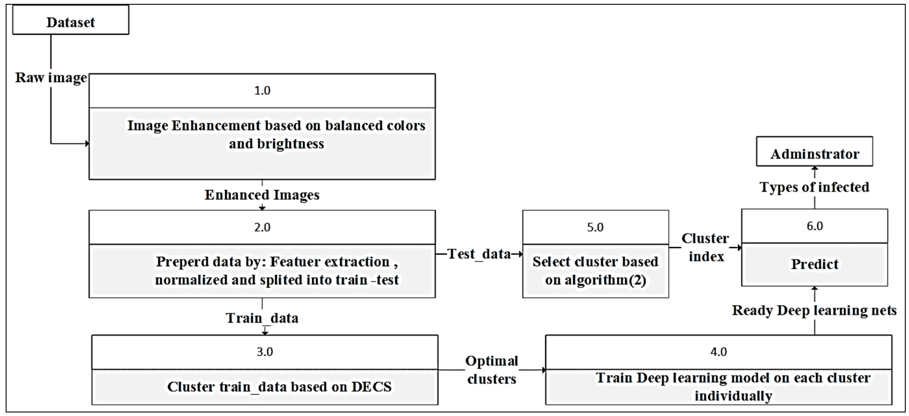 Dynamic Clustering Strategies Boosting Deep Learning in Olive Leaf Disease Diagnosis