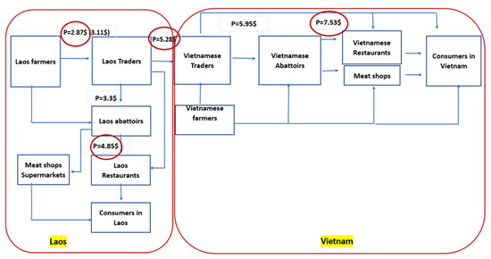 An Analysis of the Goat Value Chain from Lao PDR to Vietnam and a Socio ...