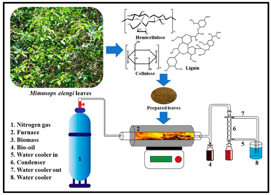 Sustainability | Free Full-Text | The Influence of Pyrolysis Time and Temperature on the ...