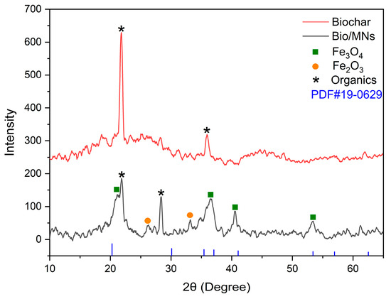 Efficient Organic Pollutant Removal by Bio/MNs Collaborating with ...