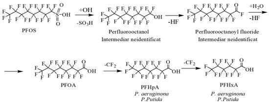 Bacterial Biodegradation of Perfluorooctanoic Acid (PFOA) and Perfluorosulfonic Acid (PFOS ...