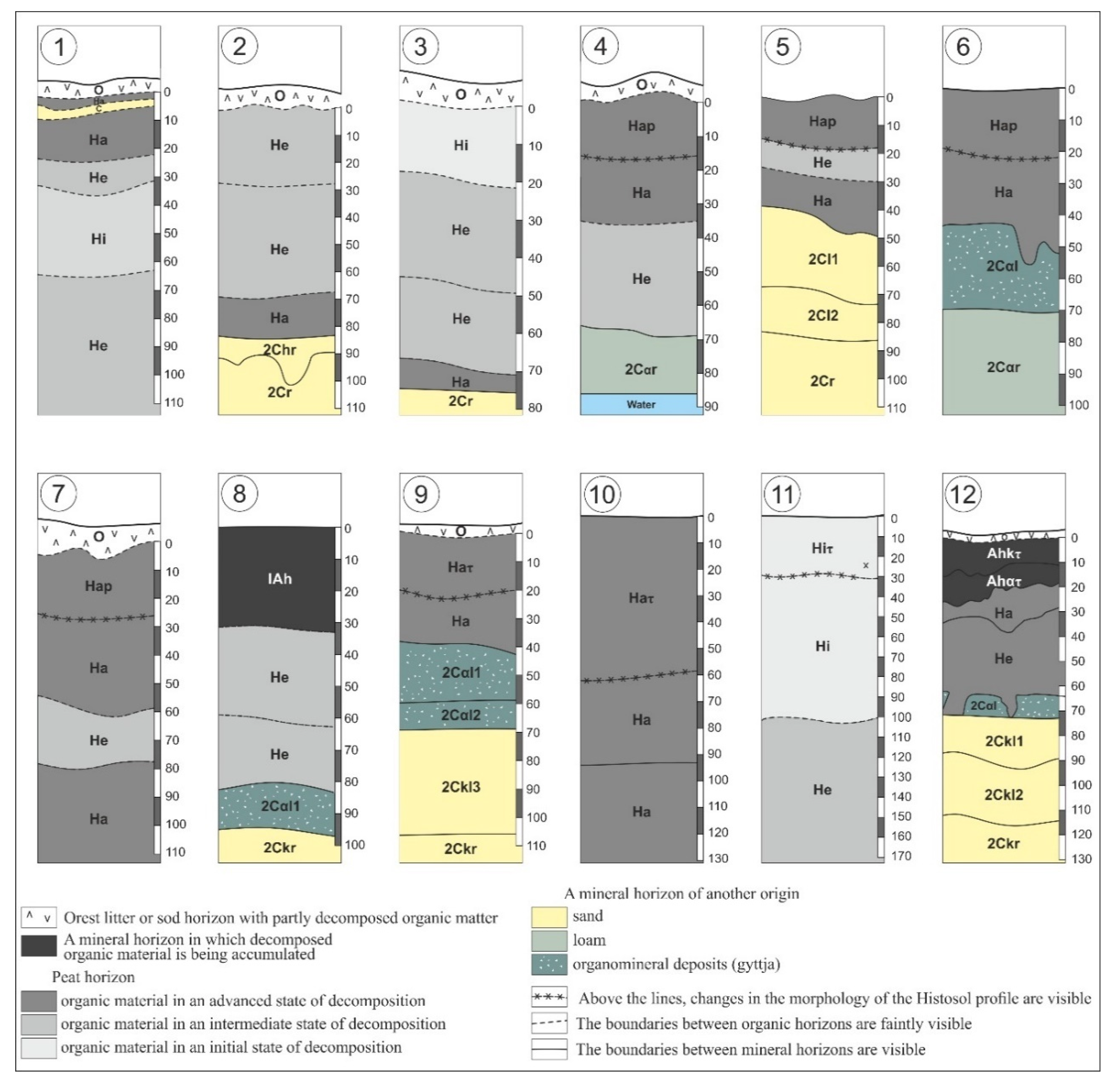 A Conceptual Approach to the Histosols Profile Morphology as a Risk ...