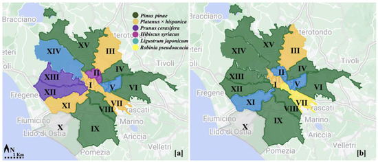 Distribution Pattern of Urban Street Trees in Rome (Italy): A ...