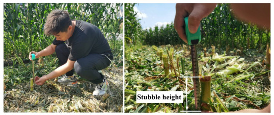 Design and Experiment of Header Height Adaptive Adjustment System for ...