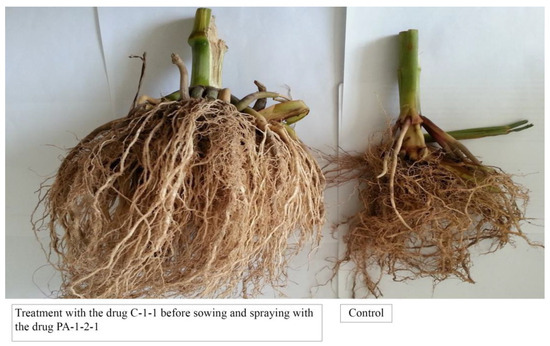 Sustainability | Free Full-Text | Study of the Ecological and ...