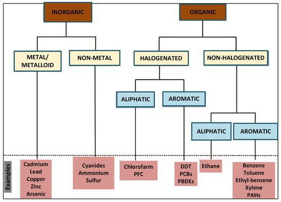 A Comprehensive Study of the Impact of Waste Fires on the Environment and Health