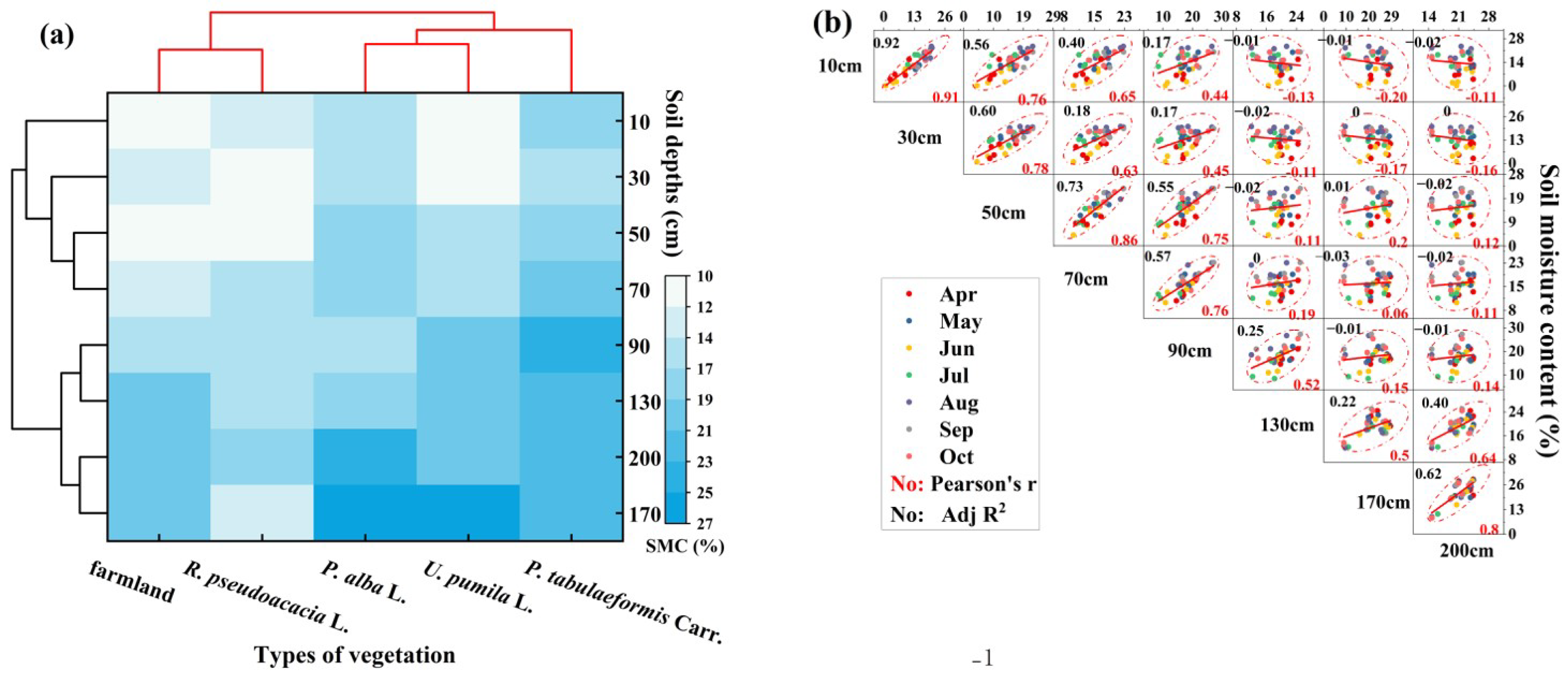 Different Responses of Soil Moisture to Different Artificial Forest ...
