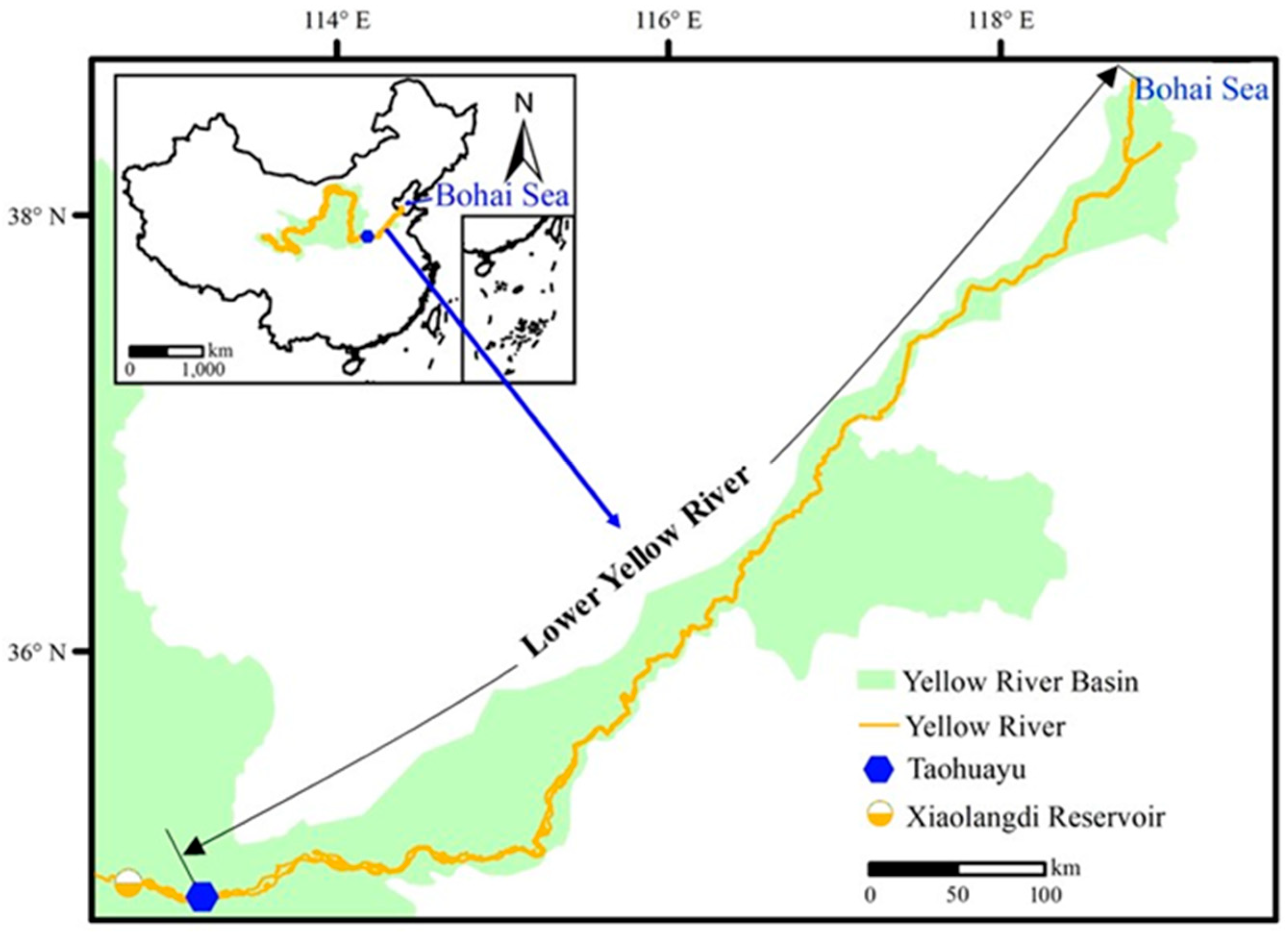Development of Reinforced Concrete Piles in the Lower Yellow River, China