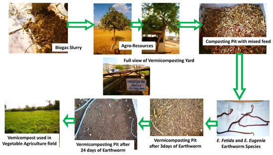 Sustainability | Free Full-Text | Vermicompost: An Eco-Friendly and ...