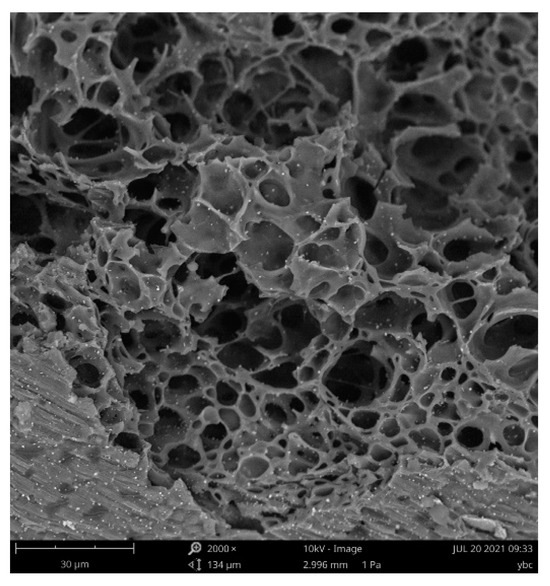 Enhancing Biochar Impact on the Mechanical Properties of Cement-Based ...