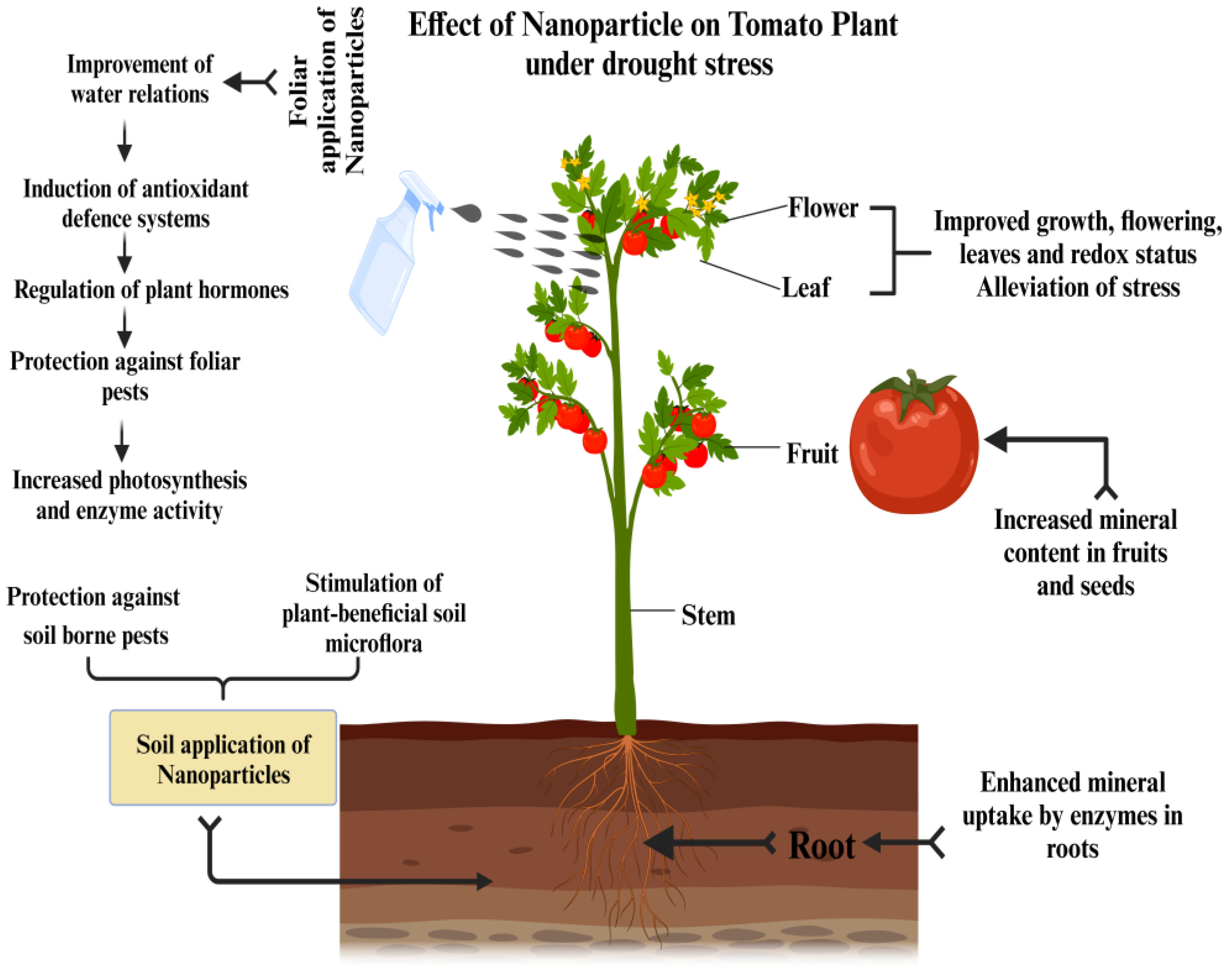Sustainability | Free Full-Text | Current Knowledge, Research Progress, and Future Prospects of ...