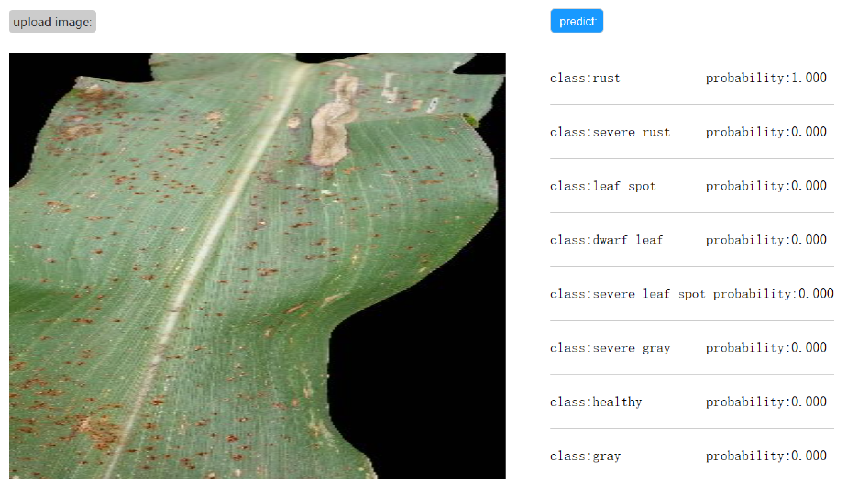 Maize Disease Classification System Design Based on Improved ConvNeXt
