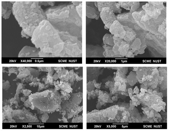 The Biosynthesis of Nickel Oxide Nanoparticles: An Eco-Friendly ...