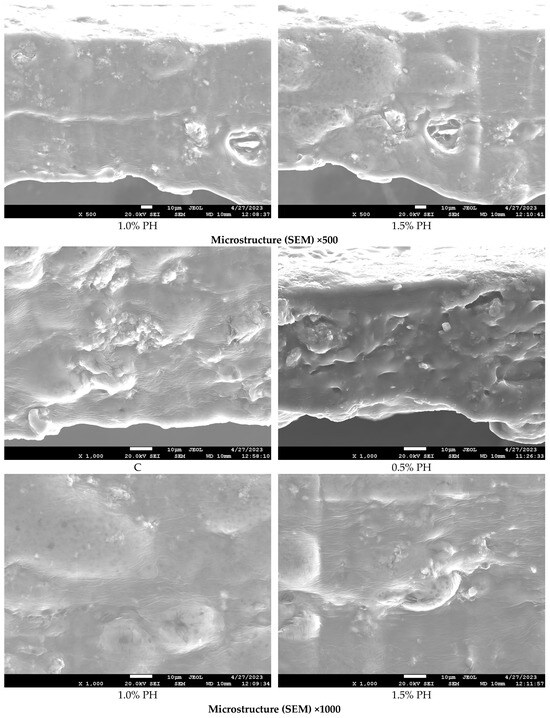 Development of Biodegradable Alginate-Based Films with Bioactive ...