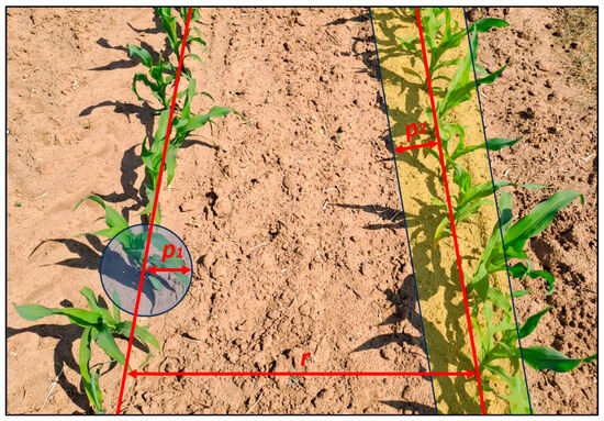 Mechanical Weed Control Systems: Methods and Effectiveness