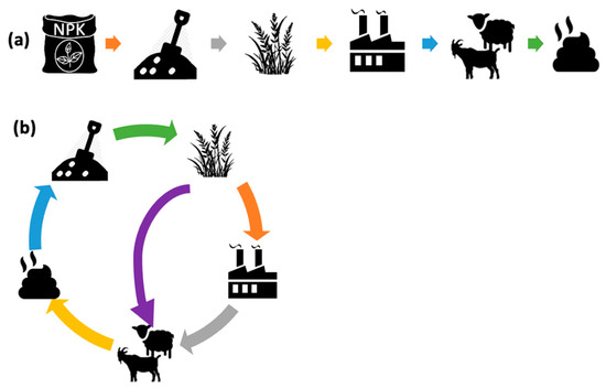 Sustainable Small Ruminant Production in Low- and Middle-Income African ...