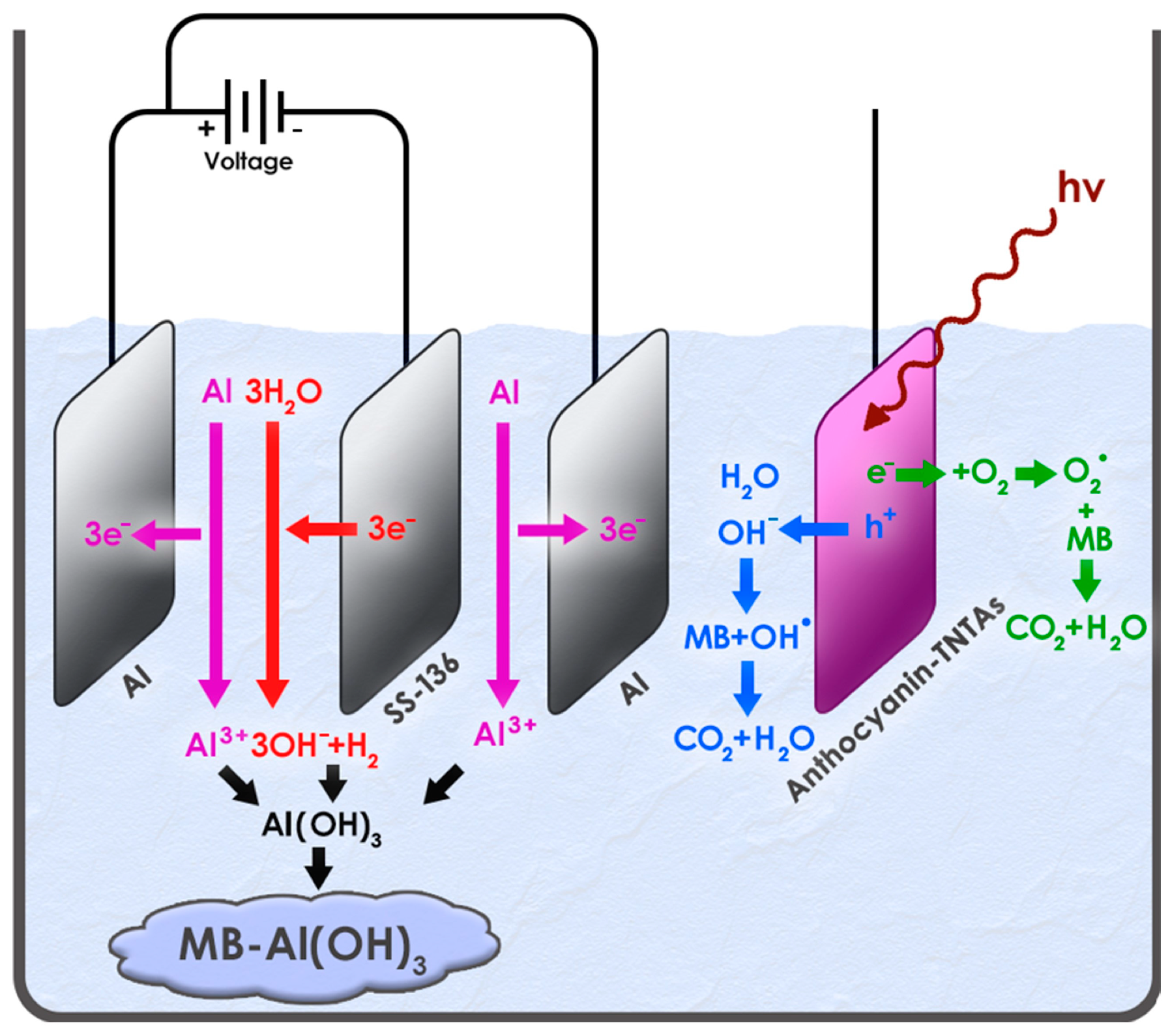 The Addition of Anthocyanin as a Sensitizer for TiO2 Nanotubes in a ...