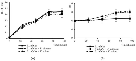 Inoculation with Biofilm of Bacillus subtilis Promotes the Growth of ...
