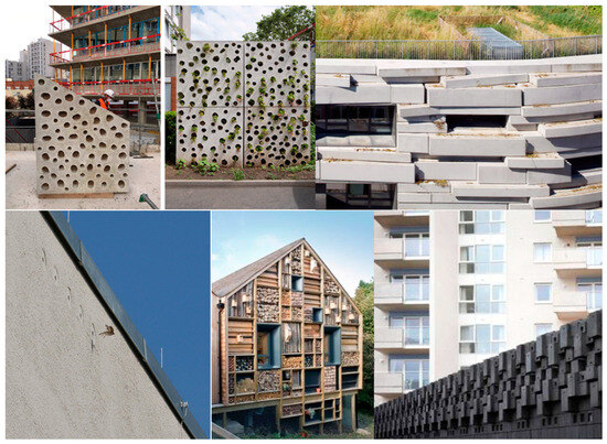 Architectural Multispecies Building Design: Concepts, Challenges, and ...