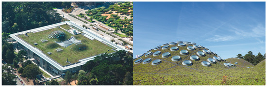 Architectural Multispecies Building Design: Concepts, Challenges, and ...