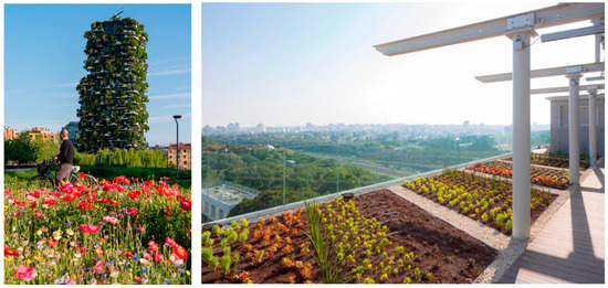 Architectural Multispecies Building Design: Concepts, Challenges, and ...