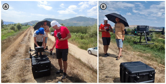 Infiltration Efficiency Index for GIS Analysis Using Very-High-Spatial-Resolution Data