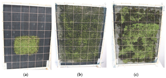 Viability of Living Moss for Indoor Green Walls: A Study on Temperature ...