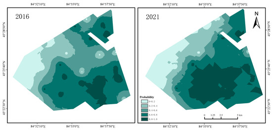 Spatial and Temporal Variation in Soil Salinity and Correlation with Groundwater Depth in the ...