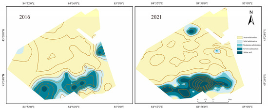 Spatial and Temporal Variation in Soil Salinity and Correlation with Groundwater Depth in the ...