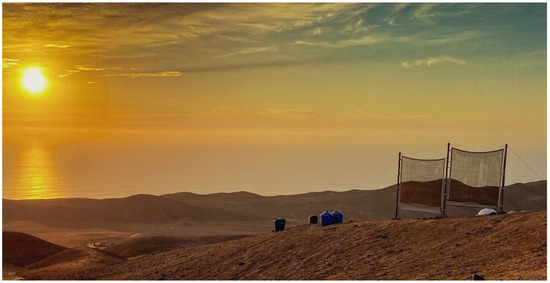 Fog Water Collection for Local Greenhouse Vegetable Production in the ...