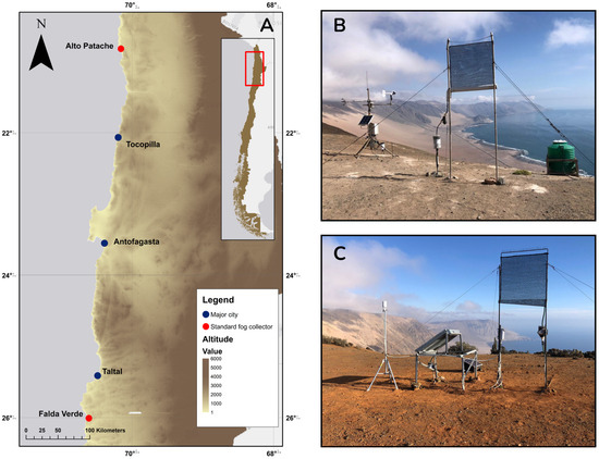 Fog Water Collection for Local Greenhouse Vegetable Production in the ...