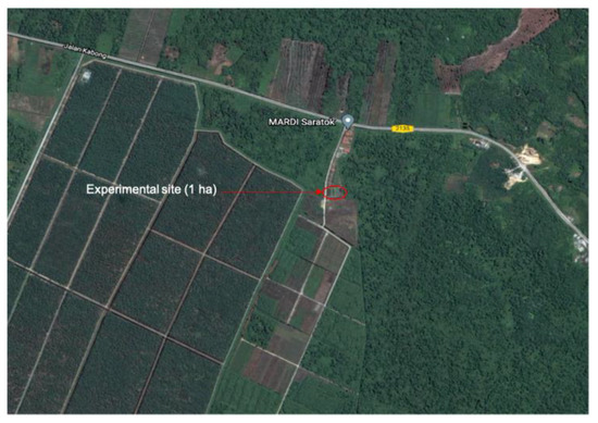 Minimizing Carbon Dioxide Emissions with Clinoptilolite Zeolite in ...