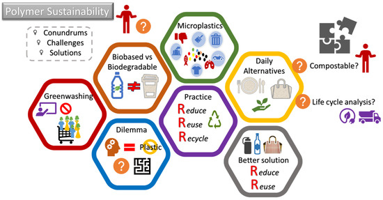 Addressing the Sustainability Conundrums and Challenges within the ...