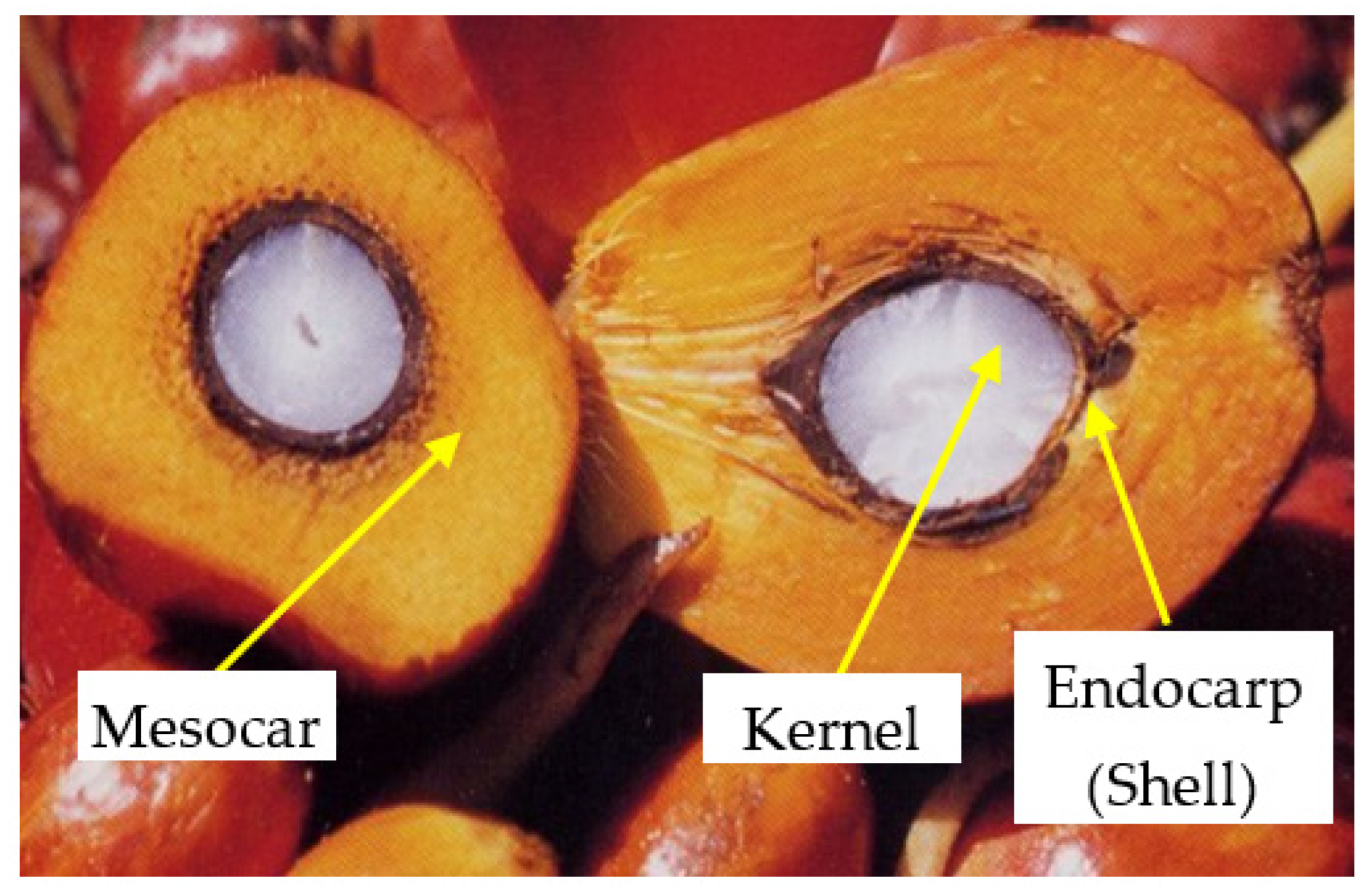 Sustainability | Free Full-Text | Mechanical Properties and Flexural ...