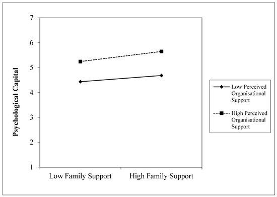 Impact of Work and Non-Work Support on Employee Well-Being: The ...