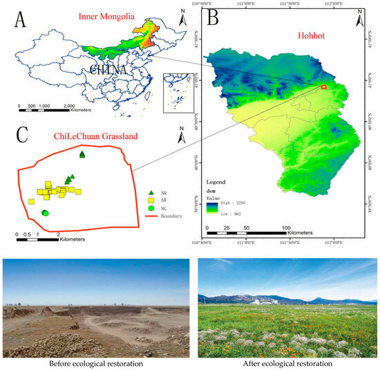 Plant-Soil Carbon Storage in Dynamic Succession of Ecological ...