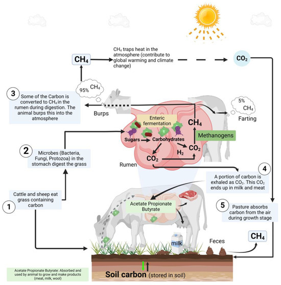 Mitigating Greenhouse Gas Emissions from Crop Production and Management ...