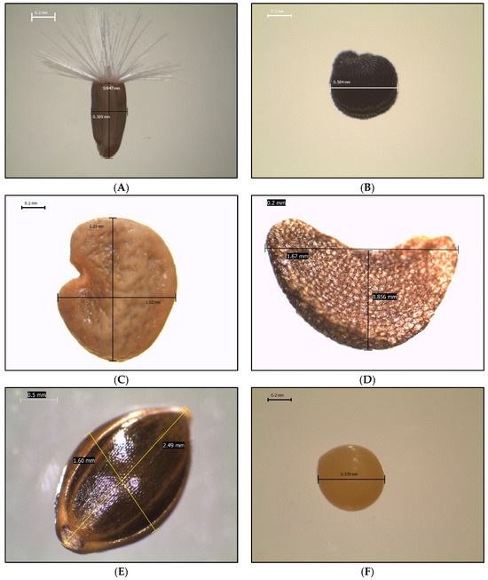 Seed Longevity in Desert Species and the Possibility of Forming a ...