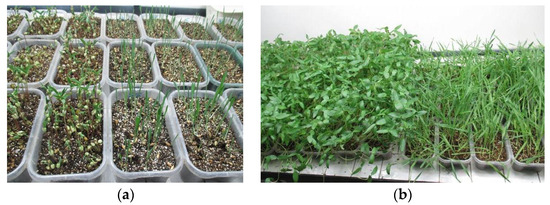 Evaluation of Biodegradability of Polylactic Acid and Compostable Bags ...