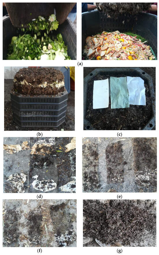 Evaluation of Biodegradability of Polylactic Acid and Compostable Bags ...