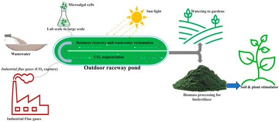 Utilization of Microalgae for Urban Wastewater Treatment and ...