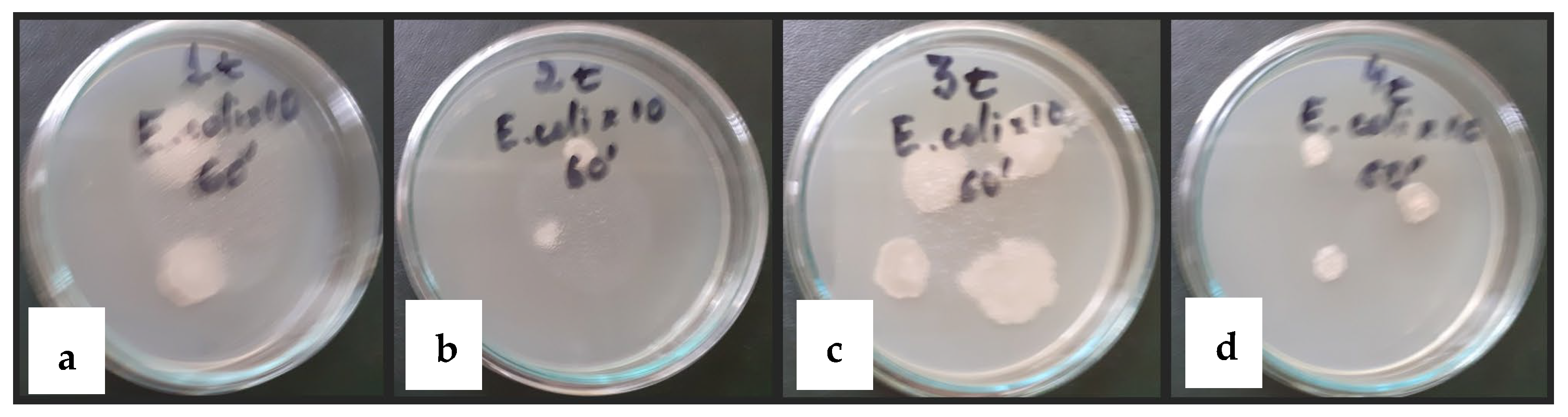 Ozone–Vacuum-Based Decontamination: Balancing Environmental ...