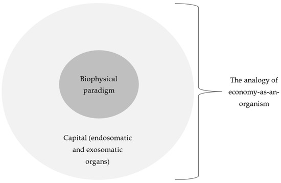 Sustainability | Free Full-Text | How the Biophysical Paradigm Impedes ...