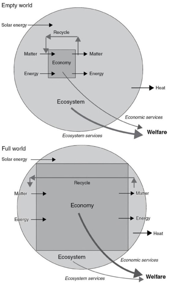 Sustainability | Free Full-Text | How the Biophysical Paradigm Impedes ...