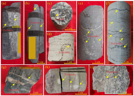 Natural Fractures and Their Contribution to Natural Gas Migration and ...