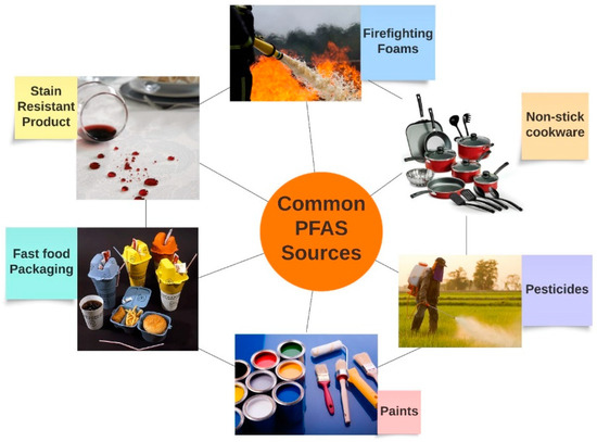 A Critical Review on PFAS Removal from Water: Removal Mechanism and ...