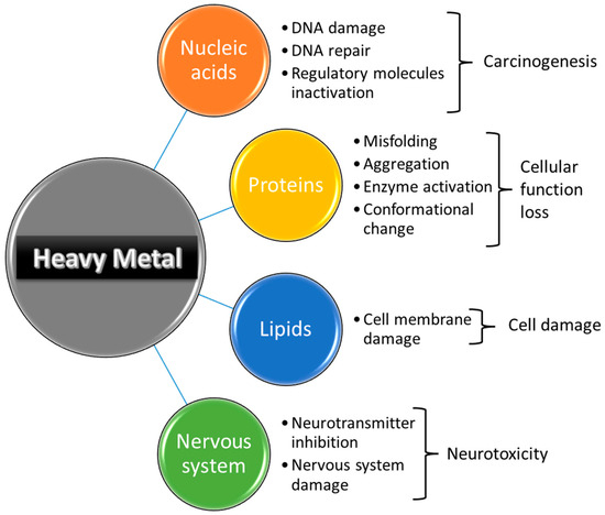Detection of Arsenic, Chromium, Cadmium, Lead, and Mercury in Fish ...