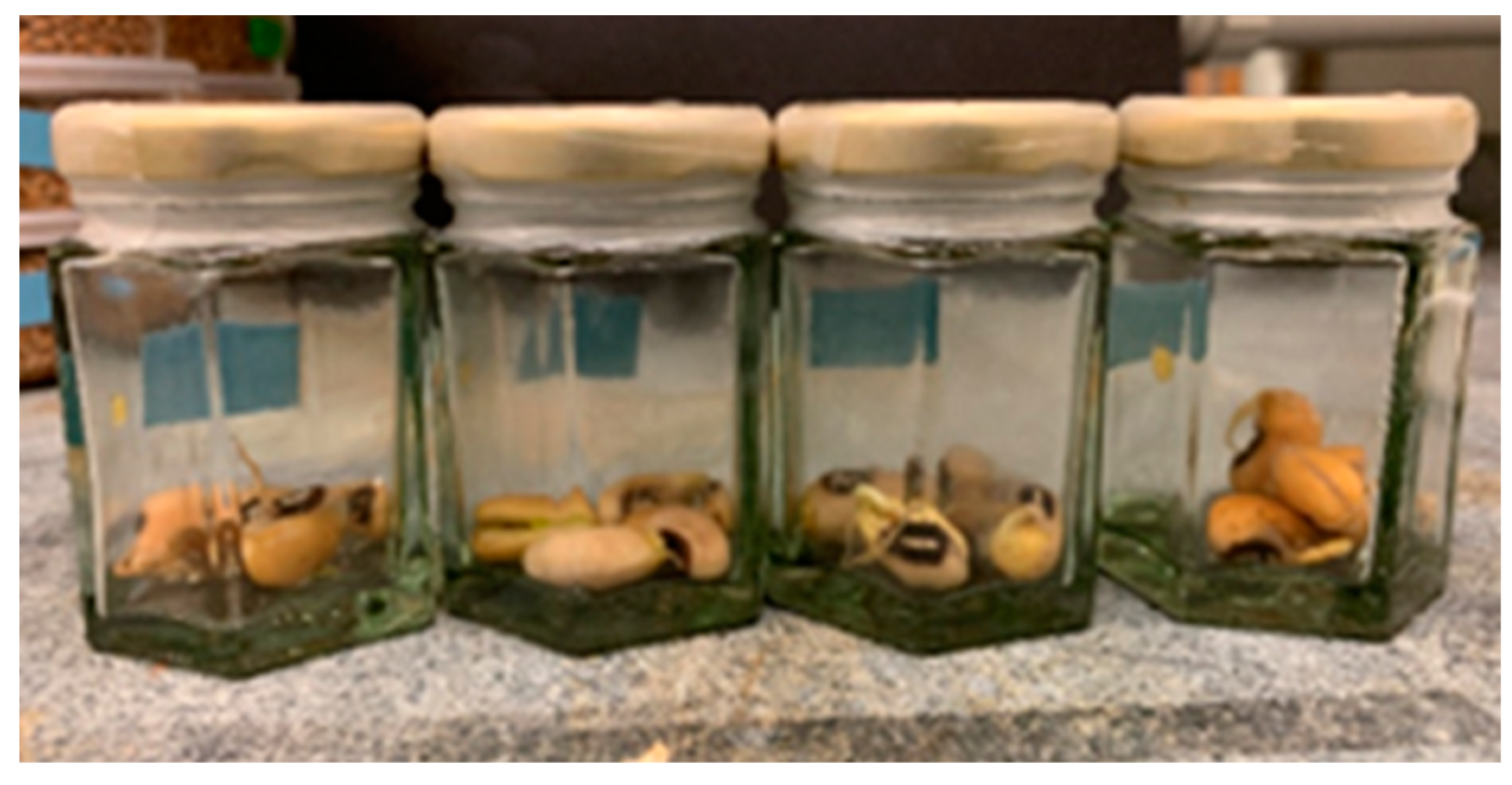 Assessing Germinating Seeds of Legume and Cereal Crops to Enhance ...