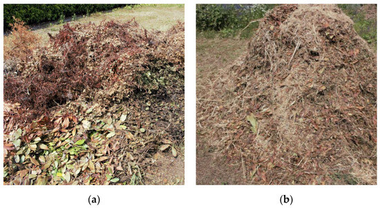 Energy Potential of Urban Green Waste and the Possibility of Its ...