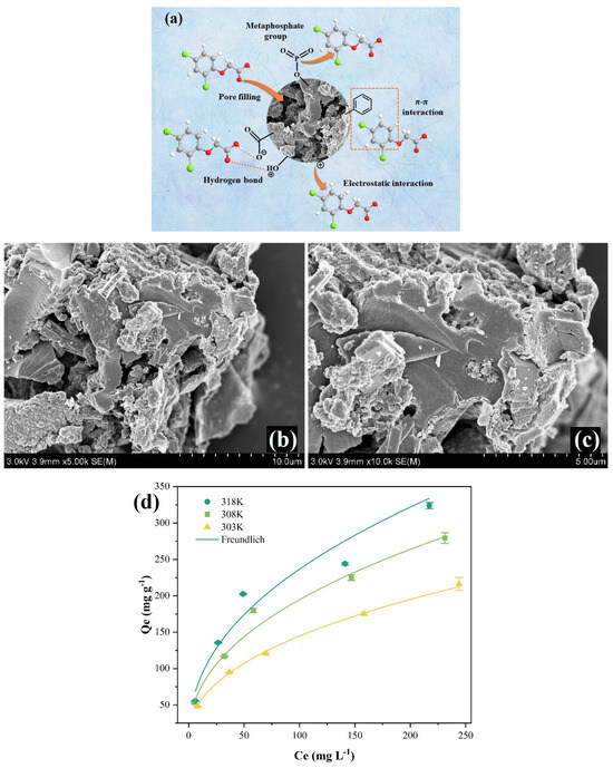 Sustainability | Free Full-Text | Waste-Based Adsorbents for the Removal of Phenoxyacetic ...